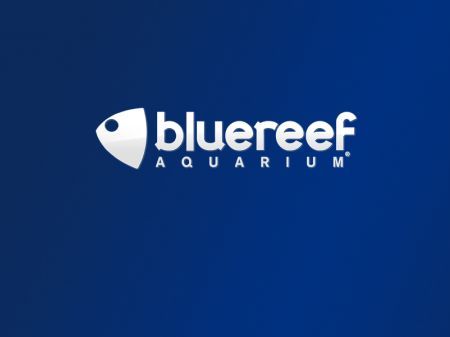 i-go | Providers | Blue Reef Aquarium