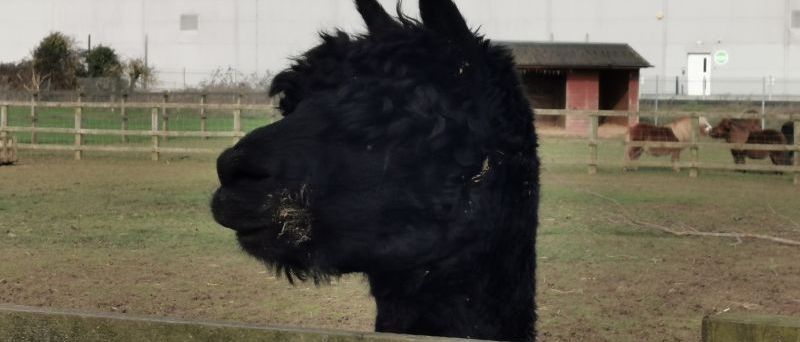 i-go | Providers | Ferring Country Centre